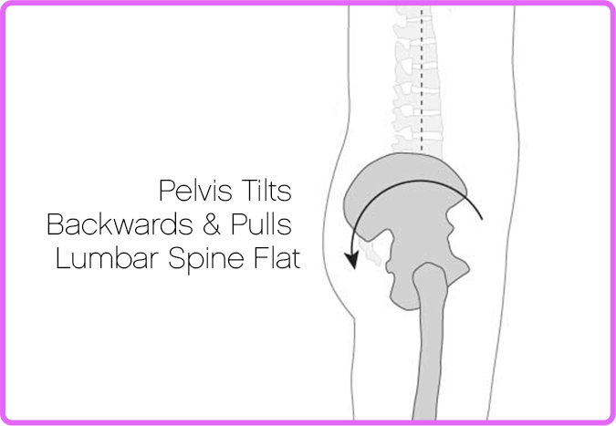 History Of Fluidity Barre