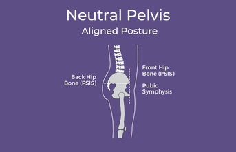 Rehabilitate Pelvic Floor, Back & Balance – Fluidity