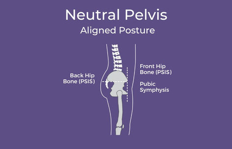 Rehabilitate Pelvic Floor, Back & Balance New – Fluidity