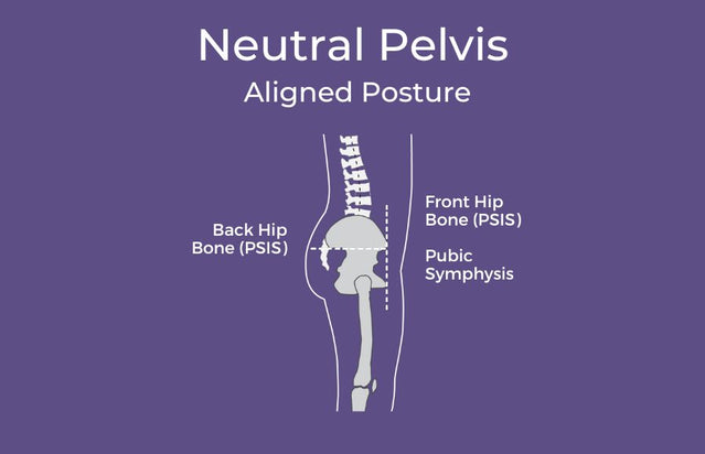 Rehabilitate Pelvic Floor, Back & Balance – Fluidity