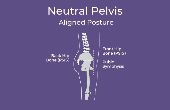 Rehabilitate Pelvic Floor, Back & Balance New – Fluidity